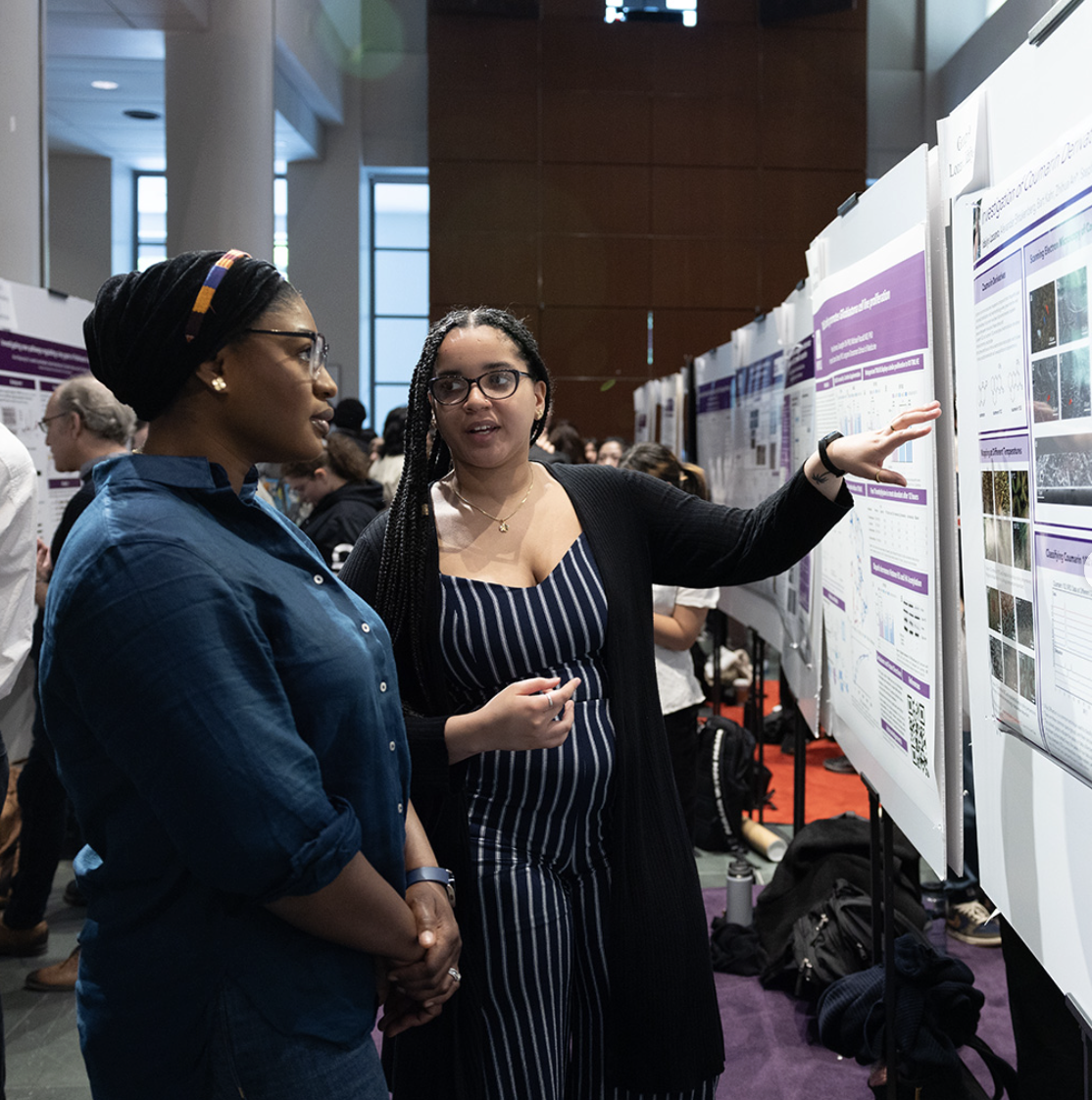 Research Methods II Poster Session Overview